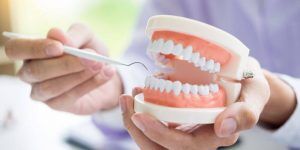 Why Some People Are Born Without Wisdom Teeth?